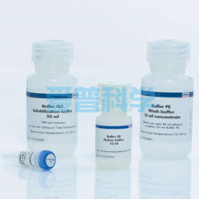 地高辛DNA标记检测试剂盒II DIG-High Prime DNA Labeling and Detection Starter Kit II_爱普科学商城