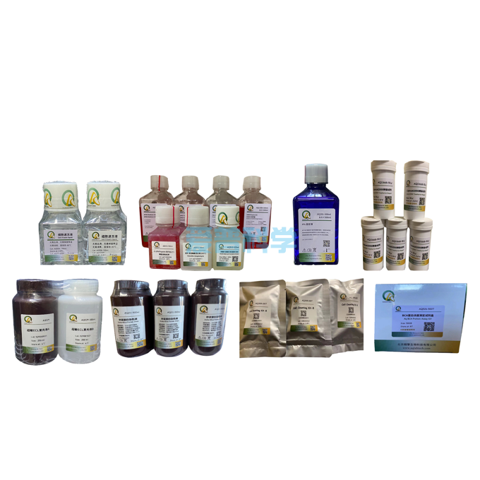 10× Tris-甘氨酸电泳缓冲液_爱普科学商城